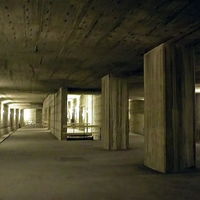 🔥 SCP-108 - “异维鼻腔” MBTI 性格类型是ISTP还是ESTP?