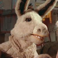 🔥 Aasi MBTI | Aasi, Morso ja Mouru Personality Types