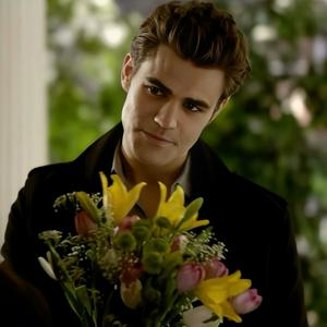 🔥 Stefan Salvatore MBTI | The Vampire Diaries (2009) Personality Types