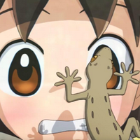 🔥 Okkos Inn MBTI Personality Types