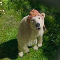 🔥 Yoshi MBTI | Dolittle (2020) Personality Types