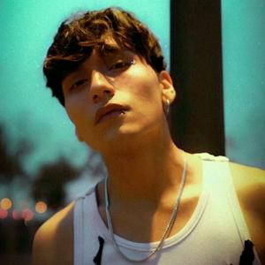 Fabi Personality Type (MBTI, Enneagram, Song Persona)