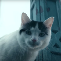 🔥 Frodo (Cat) MBTI | A Quiet Place: Day One (2024) Personality Types