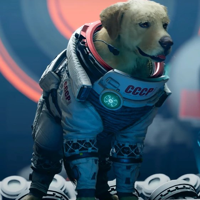 🔥 Cosmo MBTI | Marvel's Guardians of the Galaxy (2021) Personality Types