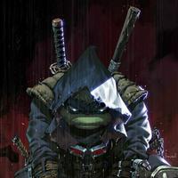 🔥Teenage Mutant Ninja Turtles: The Last Ronin Characters MBTI ...