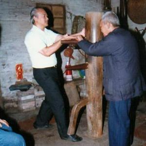 🔥 If Pan Nam Wing Chun has a personality type...