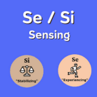 🔥 What’s the difference between Si and Se?