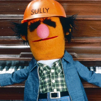 🔥 Sully MBTI | Sesame Street Personality Types