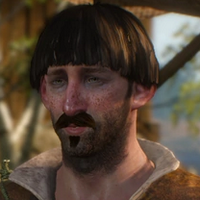 🔥 Bram MBTI | The Witcher Personality Types