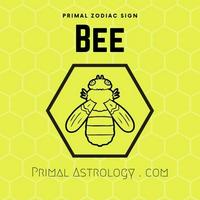 🔥 If Bee (Primal Astrology) has a personality type...