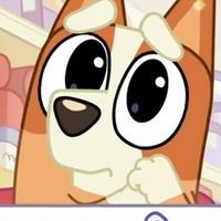 🔥 Bingo Heeler MBTI | Bluey Personality Types