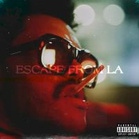🎵 The Weeknd - Escape From LAのMBTIタイプは？