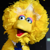 🔥 Big Bird MBTI | Sesame Street Personality Types