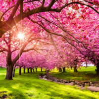 🔥 If Spring has a personality type...