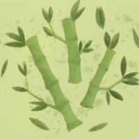 🔥 Bamboo MBTI | Plant Your Personal Flower Personality Types