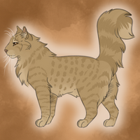🔥 Spotted Fur MBTI | Warriors (Series) Personality Types