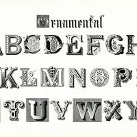 🔥 If Calligraphy has a personality type...