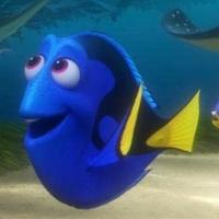 🔥 Dory MBTI | Finding Nemo (Franchise) Personality Types