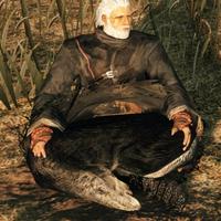 🔥 Carhillion of the Fold MBTI | Dark Souls Personality Types