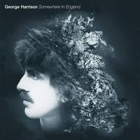🎵 If George Harrison - Flying Hour has a personality type...