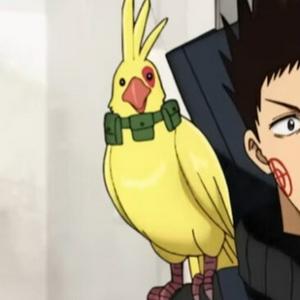 🔥 Piisuke MBTI 性格类型 哪种MBTI?