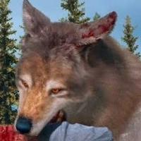 🔥 Wolf MBTI | Days Gone Personality Types