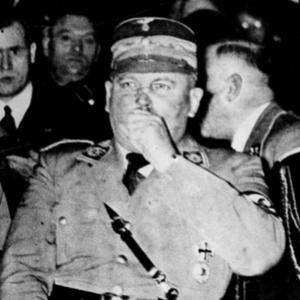 🔥 Ernst Röhm MBTI | My Friend Hitler Personality Types