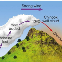 🔥 If Chinook Wind has a personality type...
