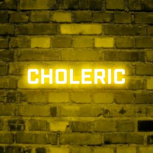 🔥 If Choleric (Mostly) has a personality type...