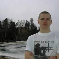 ドミトリー・アレクサンドロヴィッチ・ボロヴィコフ（サワー）のMBTIは何だと思いますか？