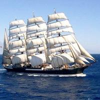 🔥 If Barque has a personality type...