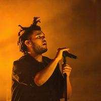🎵 If The Weeknd - The Fall has a personality type...