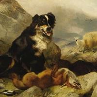 🔥 If Dave Grossman Hierarchy - Sheepdog has a personality type...