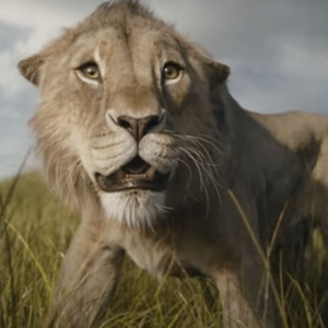 🔥 Taka "Scar" MBTI | Mufasa: The Lion King (2024) Personality Types