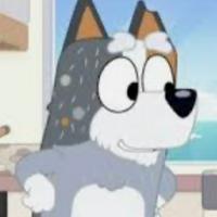 🔥 Bob Heeler (Granddad) MBTI | Bluey Personality Types