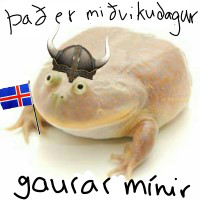 🔥 If Icelandic has a personality type...