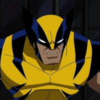 🔥 James Howlett "Wolverine" MBTI | The Avengers: Earth's Mightiest ...