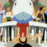 🎵 One Piece Op1 - We Are MBTI是ESFP还是ISFP?