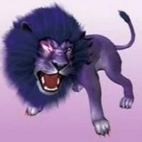 🔥 Animal Kaiser MBTI Personality Types