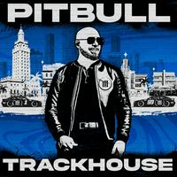 🎵 If Pitbull, Elvis Crespo - Suave has a personality type...