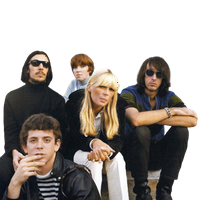 🔥 If The Velvet Underground has a personality type...