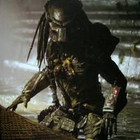 🔥 Wolf MBTI | Predator Personality Types