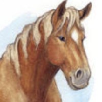 🔥 Clover MBTI | Animal Farm Personality Types