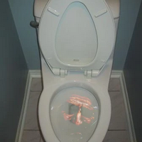 🔥 SCP-789-J "Butt Ghost" MBTI | SCP Foundation Personality Types