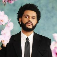 🔥 If Music of The Weeknd has a personality type...