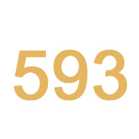 🔥 If 593 has a personality type...