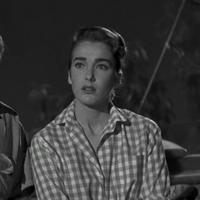 🔥 Kay Lawrence MBTI | Creature from the Black Lagoon (1954) Personality ...