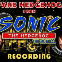 🎵 If Random Encounters - Fake Hedgehog has a personality type...