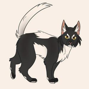 🔥 White Tail MBTI | Warriors (Series) Personality Types