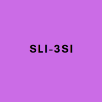 🔥 SLI-3Si MBTI 哪種MBTI?